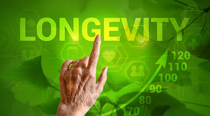 槲皮素与长寿 – UDA Longevity Drink